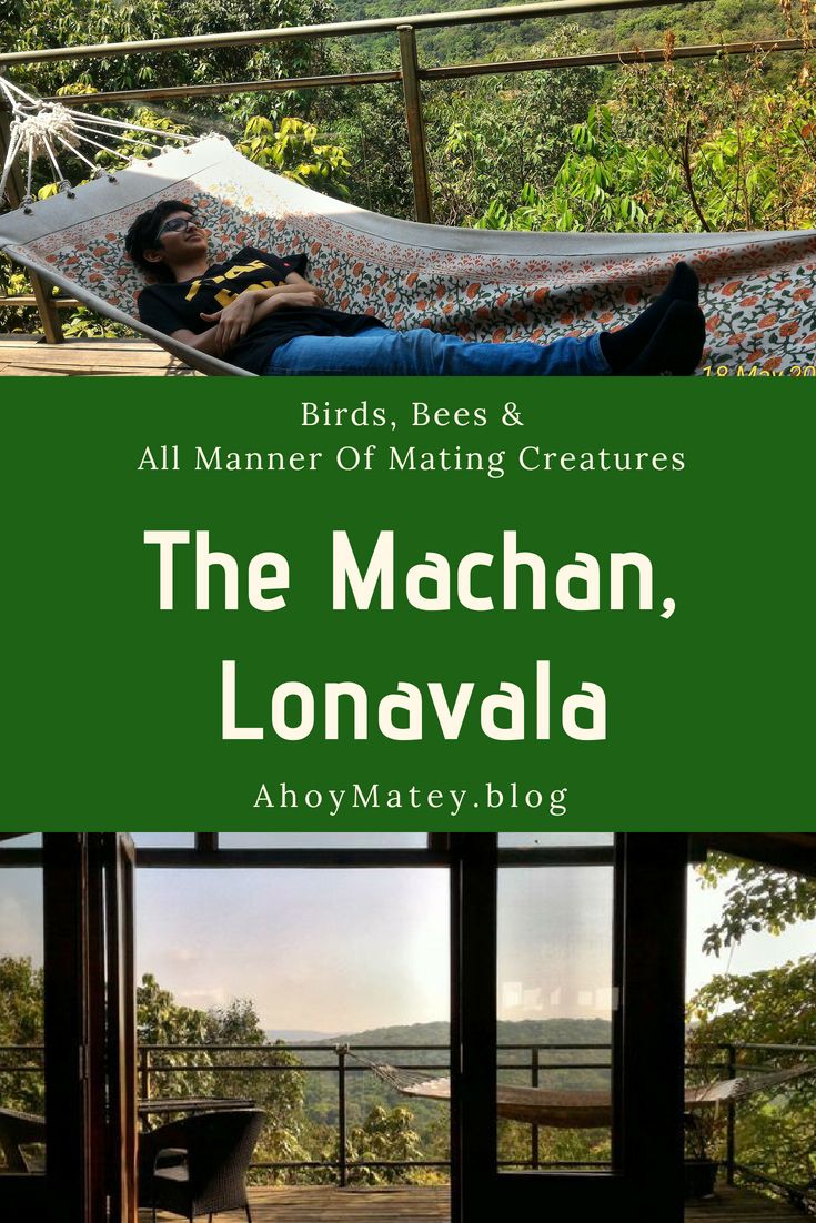 The Machan, Lonavala: Birds, Bees And All Manner Of Mating Creatures
